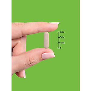 Nature's Truth Black Cohosh | 100 Capsules | Root Extract | Non-GMO, Gluten Free