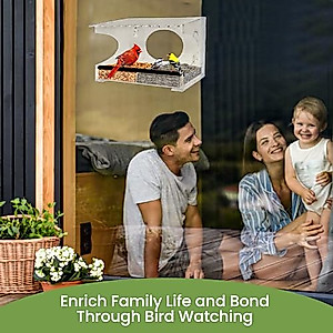 Large Clear Window Bird Feeder - Extended House with Strong Suction Cups - Steel Perch Sliding Feed Seed Tray - See Through Transparent Big Birdhouse - Wild Finch, Cardinal, Blue Jay - Cool Cat Gift