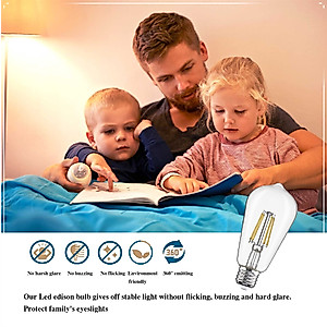 winsaLED Light Bulbs 40 Watt, 2700K Soft Warm Light Bulbs, ST19 Edison Bulbs Design, LED 4W with 450lm Output, E26 Medium Base, High CRI 90+, Not dimmable, Pack of 12