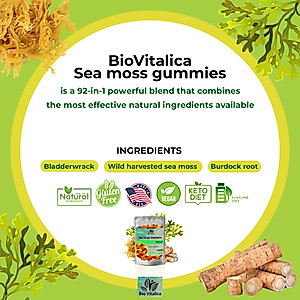 Sea Moss Gummies - Irish sea Moss raw Organic, Bladderwrack, Burdock Root. Contains Sea Moss Gel and Powder. Superfoods for Vegan, Keto and Dr Sebi Diet. Immune Boosting (1, ORIGINAL)