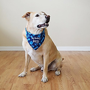 Dog Birthday Bandana - Boy