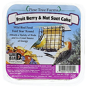 Pine Tree 1202 Fruit Berry and Nut Suet Cake, 12-Ounce