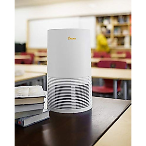 Crane Air Purifier with True HEPA Filter, Germicidal UV Light, 300 Sq Feet Coverage, Timer Function, Sleep Mode, Washable Particle Filter, EE-5068