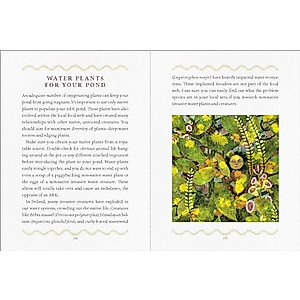 We Are the ARK: Returning Our Gardens to Their True Nature Through Acts of Restorative Kindness