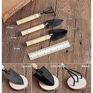 Gardenera Bonsai 3PC Gardening Tool Set: Rake, Spade, Shovel - Wooden Handles - Best Kit for Potted Plant, Flower and Seedling Care - Ergonomic Design for Little Hands - Great Gift for Gardeners