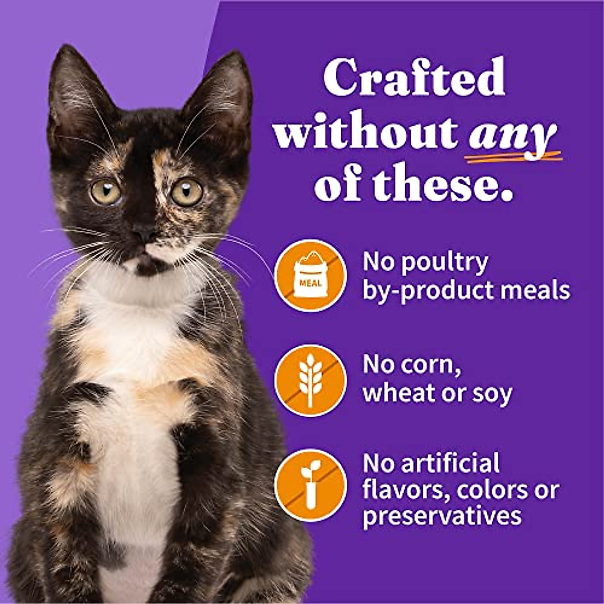 Halo Kitten Grain Free Wet Cat Food Pate, Chicken Recipe, Healthy Cat Food with Real, Whole Chicken , 3oz Can (Pack of 12)