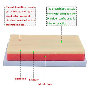 IV Training Kit, Phlebotomy Practice Kit with Needles, Venipuncture IV Injection Training Pad Starter Kit Blood Draw Practice kit for Nursing Student Medical Education