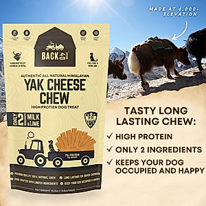 Back 40 Dogs Himalayan Yak Cheese Dog Chews – Long-Lasting Natural Chews for Aggressive Chewers – 2-Ingredient, High Protein, Odorless, Dental Health Treats for Dogs (Large, 4 Pack)