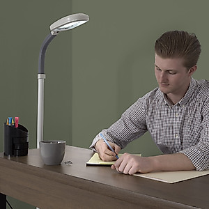 Lavish Home 72-0820 (Beige) Adjustable Full Spectrum Natural Sunlight Lamp with Bendable Neck-Reading, Crafting, Esthetician Floor Light, (L) 10.2” x (W) 8.7” x (H) 62.5