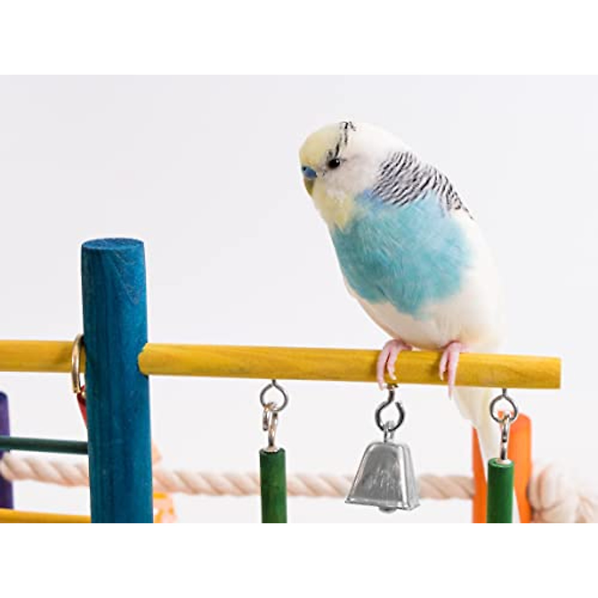 Penn-Plax Bird Life Wooden Playpen – Perfect for Parakeets, Lovebirds, and Parrotlets – Small