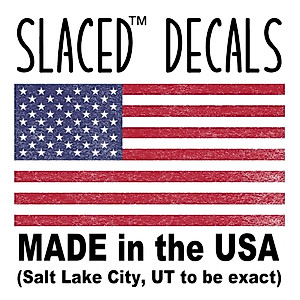 Sasquatch, Bigfoot, Hide and Seek Champion Decals (Black, Large ~5")