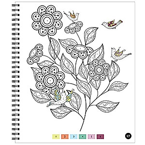 Brain Games - Color by Number: Stress-Free Coloring (Orange)