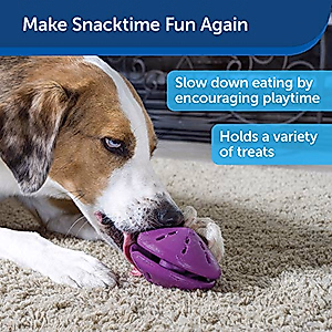 PetSafe Busy Buddy Twist 'n Treat Dispensing Dog Toy - Medium,Purple,Large Breeds