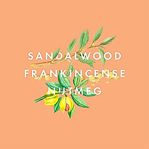 NEOM- Cosy Nights Luxury Scented Candle- Travel Size | Sandalwood, Frankincense & Nutmeg | Essential Oil Aromatherapy Candle | Gift (Travel Size)