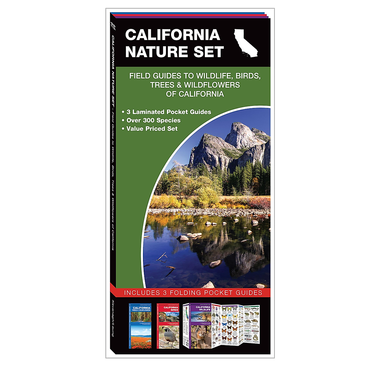California Nature Set: Field Guides to Wildlife, Birds, Trees & Wildflowers of California (Nature Observation North America)