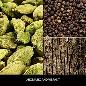 Adidas UEFA Champions League Men 3.4 oz EDT Spray (Victory Edition)