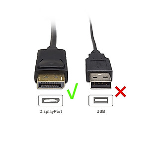 Cable Matters DisplayPort to HDMI Adapter (DP to HDMI Adapter is NOT Compatible with USB Ports, Do NOT Order for USB Ports on Computers)