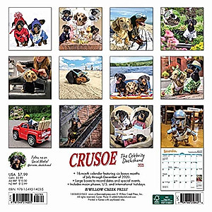 Crusoe the Celebrity Dachshund 2021 Mini Wall Calendar (Dog Breed Calendar)