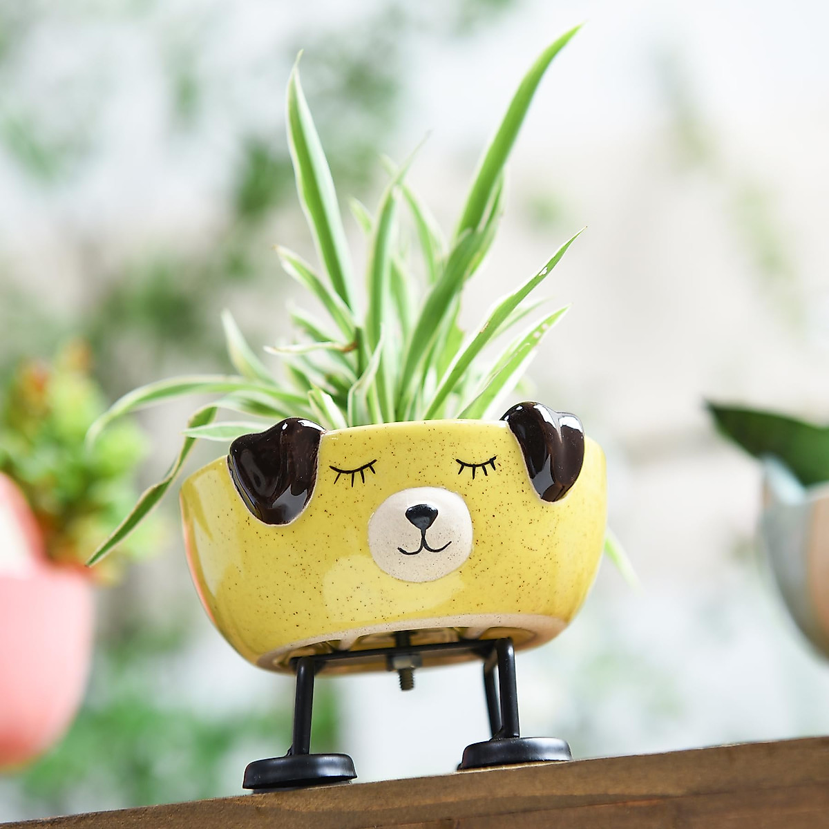 Pointnio Cute Plant Pots,Ceramic Garden Pots,Plant Gifts for Woman,Planters for Indoor Plants.Small Pots for Plant.Spring Flower Pots.Spider,Succulent Pots 6"+4.8"+4" Set of 3