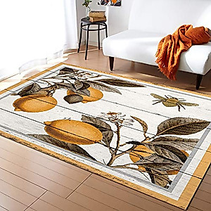2'x 3' Farm Bee Summer Fruit Watercolor Wood Grain Area Rug, Outdoor Indoor Washable Carpet Area+Rug for Living Room, Kids/Boys/Girls Bedroom, Bathroom, Classroom, Kitchen, Hallway, Throw Floor Mat