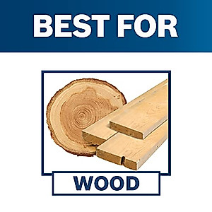 BOSCH RS034 5 In. Soft Hook-And-Loop Sanding Pad