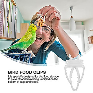 POPETPOP Birds Fruit Vegetable Holder 10pcs Basics Cuttlebone Treat Holder Bird Food Holder Small Animal Fruit Vegetable Holder Food Feed Treating Tool White Pet Bird Feeding Tool