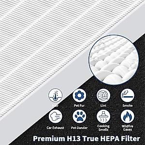 C545 True HEPA Replacement Filter S Compatible with Winix C545 Air Purifier Replacement for Winix S Filter 1712-0096-00 and 2522-0058-00, Funmit 2 x True HEPA Filter + 8 x Activated Carbon Pre-Filter