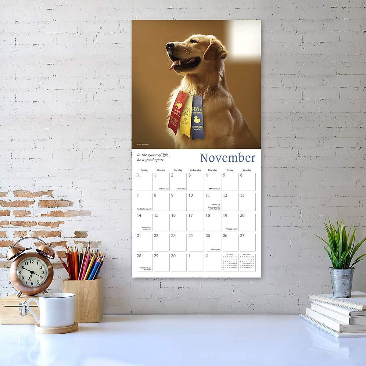 2021 Dogma: A Dogs Guide to Life 16-Month Wall Calendar