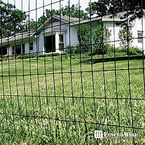 Fencer Wire Vinyl Coated 16 Gauge Welded Fence Wire Roll, Mesh Size 2-Inch x 3-Inch, Black Metal Garden Fencing Wire Grid Hardware Cloth, Multiple Use for Home Improvement