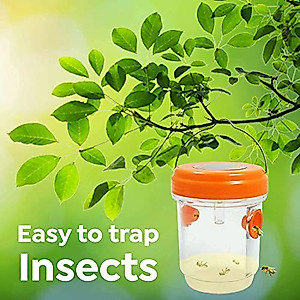 Wasp Traps Outdoor Hanging 2 Pack Fly Traps Bee Traps for Outside Light Attract Carpenter Bees Yellow Jackets Fruit Flies Mosquito Hornet Wood Bee Trap Solar Power Reusable Outdoor Indoor Waterproof
