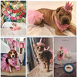 ADOGGYGO Dog Birthday Bandana Girl - Birthday Party Supplies - Pink Tutu Skirt Crown Hat Scarf Happy Birthday Banner Dog Girl Birthday Outfit for Pet Puppy Cat Girl (Pink)