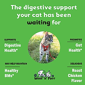 Cat Digestive Support - Digestive Enzymes for Cats - Cat Digestive Probiotic - Cat Digestion Aid - Cat Digestion - Digestive Enzyme for Cats - Cat Digestive Enzyme - Cat Digestive Supplement - 1 fl oz