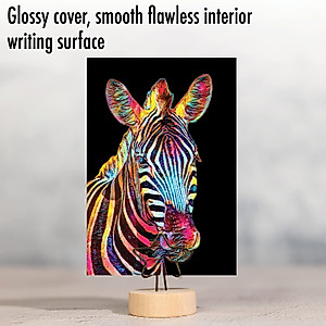 NobleWorks Birthday Greeting Card with 5 x 7 Inch Envelope (1 Card) BdayRainbow Zebras-Head C10327BBDG