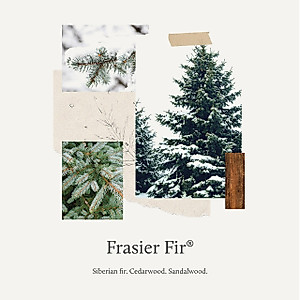 Thymes Laundry Detergent - 32 Fl Oz - Frasier Fir