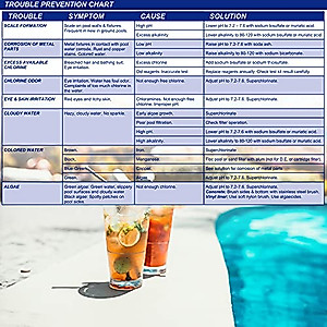 WWD POOL Swimming Pool Spa Water Chemical Test Kit for Chlorine and Ph Test (2 Way Test Kit)