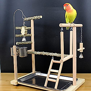 Bird Playground Birdcage Playstand Parrot Play Gym Parakeet Cage Decor Budgie Perch Stand with Feeder Seed Cups Ladder Hanging Swing Chew Toys Parakeets Conures Macaw Cockatiel Finch