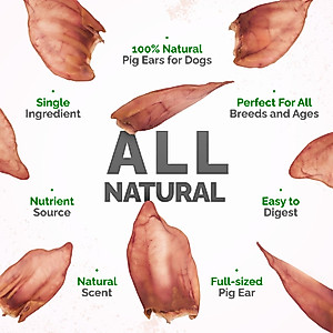 100% Natural Pig Ears for Dogs - A Pack of Dog Treat Bulk Pig Ear Dog Treats, Great for Teeth and Gums! Perfect for Tasty Pet Snacks and Keeping Your Furry Friend Happy and Healthy - 100 count