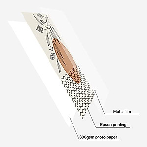 LIYAOLI Boho Neutral Wall Art Prints Line Art Posters for Room Aesthetic Unframed 11 x 14 Inch Set of 6 Minimalist Abstract Mid Century Modern Leaf Wall Decor for Bedroom Living room Office Decor