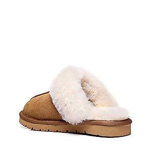 TARRAMARRA Muffin Australian Sheepskin Slippers, Premium Australian Shearling Scuff Slippers Fur Collar Slip-on House Shoes For Women and Men Chestnut US Women 8