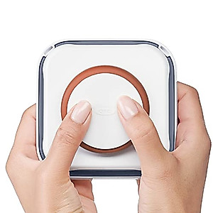 OXO Good Grips POP Container Brown Sugar Keeper