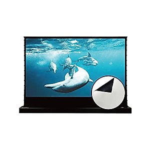 VIVIDSTORM-Projector Screen with Stand S 120 inch Portable Folding Stand Indoor Tension Floor Screen 4k HD White Cinema, 4K/3D/UHD Gaming/Home Cinema,Compatible with Normally Projector,VSDSTW120H