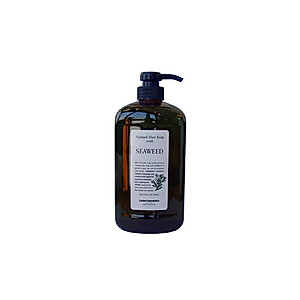 Takara Belmont Lebel | Shampoo | Natural Hair Soap with Seaweed 1000ml (Japan Import)