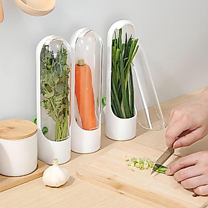 lygchii Herb Keeper for Refrigerator, 2pcs Fresh Cilantro Containers, Clear Herb Storage Container Glass, Keeps Vegetables Fresh for 2-3 Week for Cilantro, Mint, Parsley, Asparagus