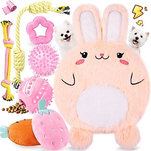 XIUGOAL Pink Puppy Toys - 9 Pack Puppy Chew Toys for Teething, Interactive Dog Toys for Puppies, Small Dog Toys with Squeaky Toys, Treat Ball and Ropes