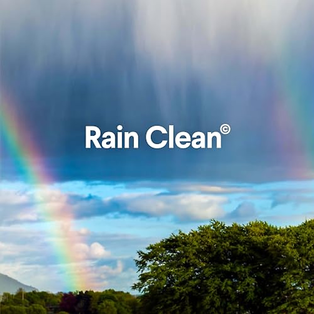 CLOROX Clean-Up Multi-Surface Cleaner with Bleach, Rain Clean, Spray, 32 Fl Oz (Package May Vary)