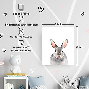 Designs by Maria Inc. Set of 6 UNFRAMED Animal Posters | Watercolor Animal Wall Decor | Woodland Nursery Decor | Baby Decor For Nursery Wall Art | Baby Room Wall Decor For Kids Boys And Girls (8"x10")