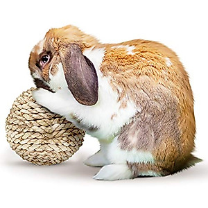 SunGrow Cat Sisal Rope Scratcher Ball & Ferret, Rabbit Anti Chew Shoe, Stop Chewing & Scratching Furniture, Teething for Guinea Pigs, Chinchillas, Pocket Pets, 1 Pack