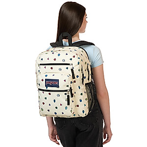 JanSport Big Student, Sunset Stripe, One Size
