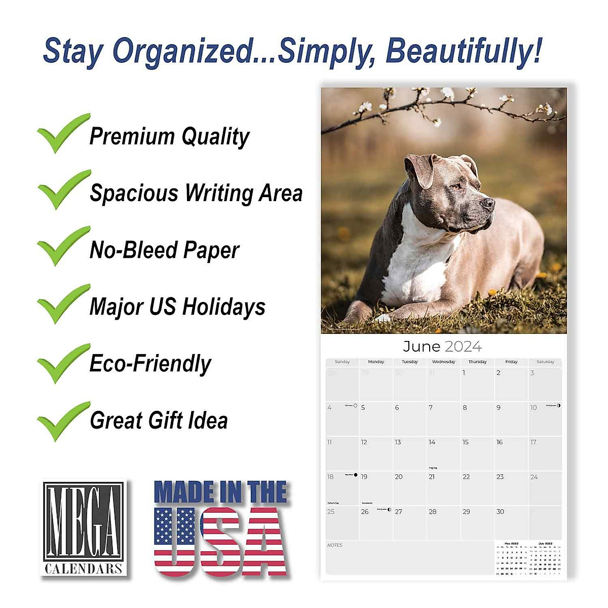 2023 2024 American Staffordshire Terrier Calendar - Dog Breed Monthly Wall Calendar - 12 x 24 Open - Thick No-Bleed Paper - Giftable - Academic Teacher's Planner Calendar Organizing & Planning