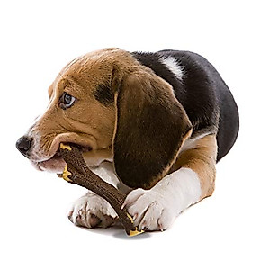Nylabone Real Wood Stick Strong Dog Stick Chew Toy Maple Bacon Medium/Wolf (1 Count)